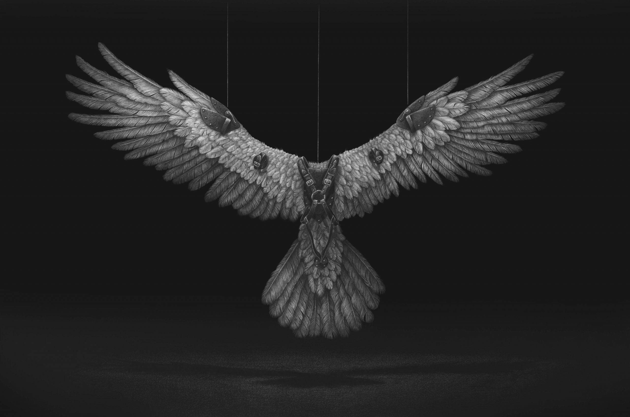 Prosthetic wing 2019〜 – Ameku Takahiro Works