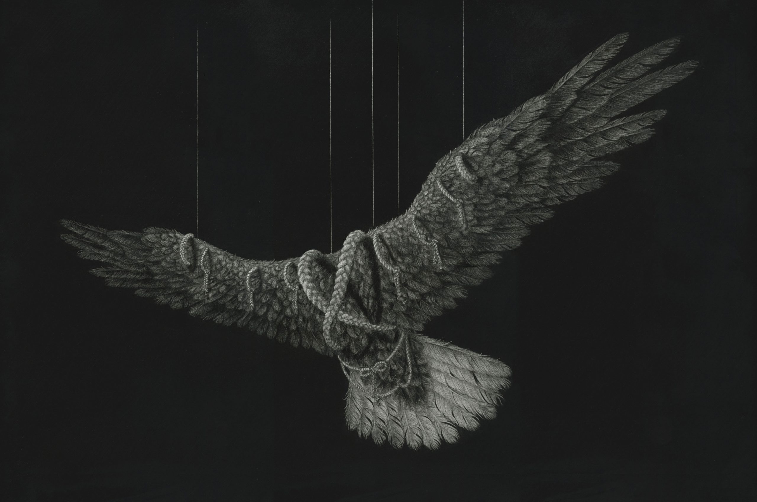 Prosthetic wing 2019〜 – Ameku Takahiro Works