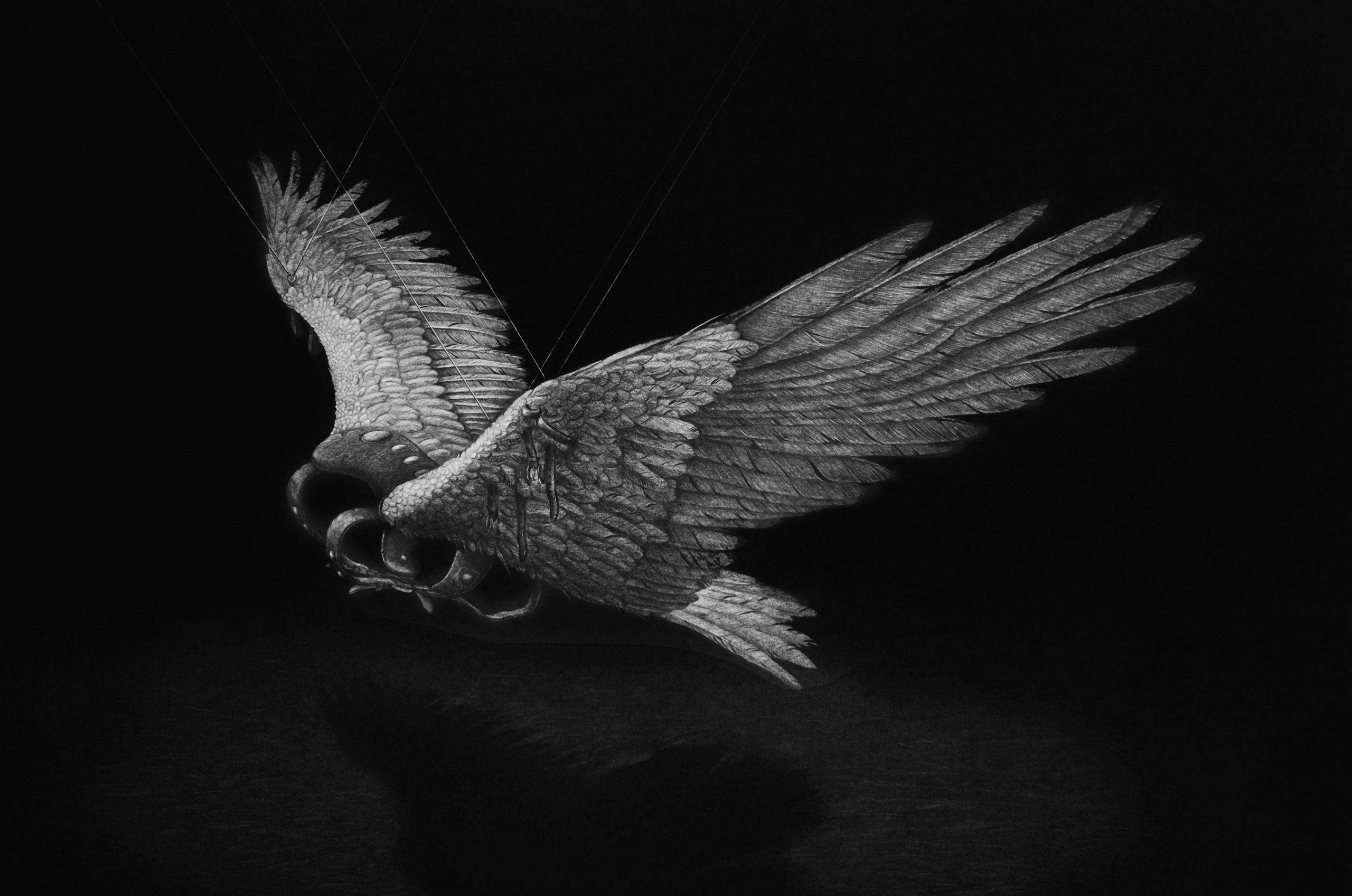 Prosthetic wing 2019〜 – Ameku Takahiro Works