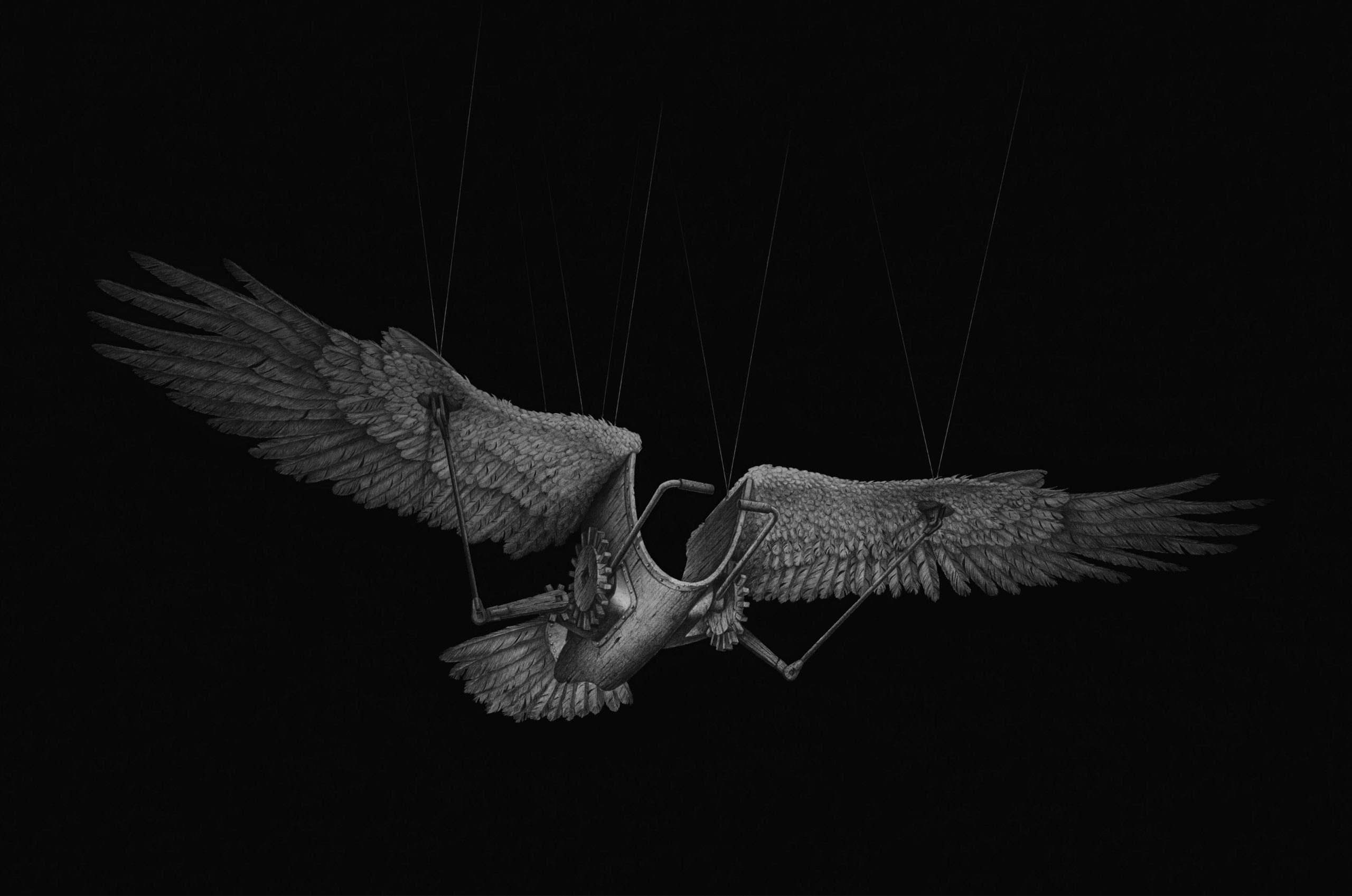 Prosthetic wing 2019〜 – Ameku Takahiro Works