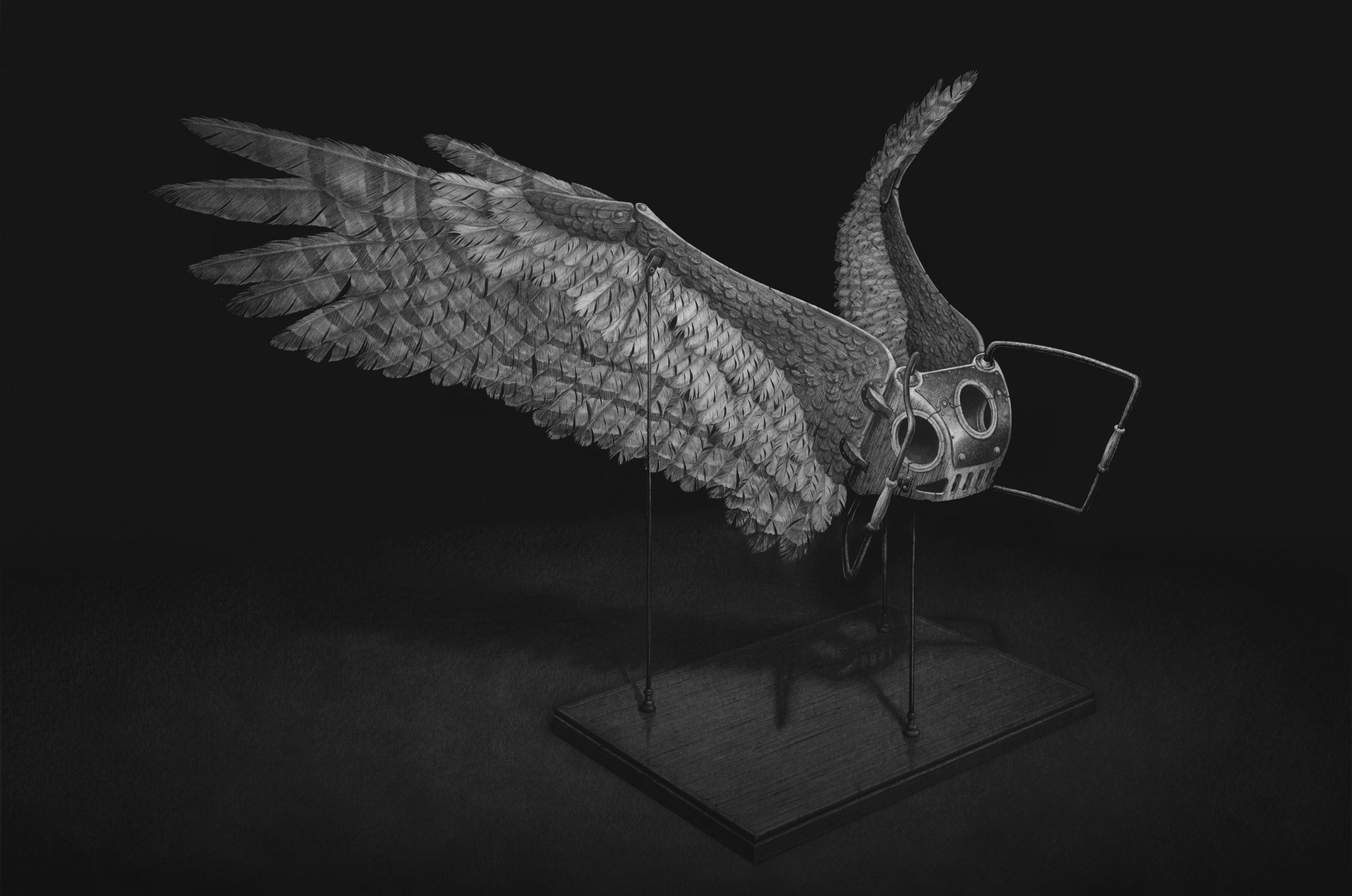 Prosthetic wing 2019〜 – Ameku Takahiro Works