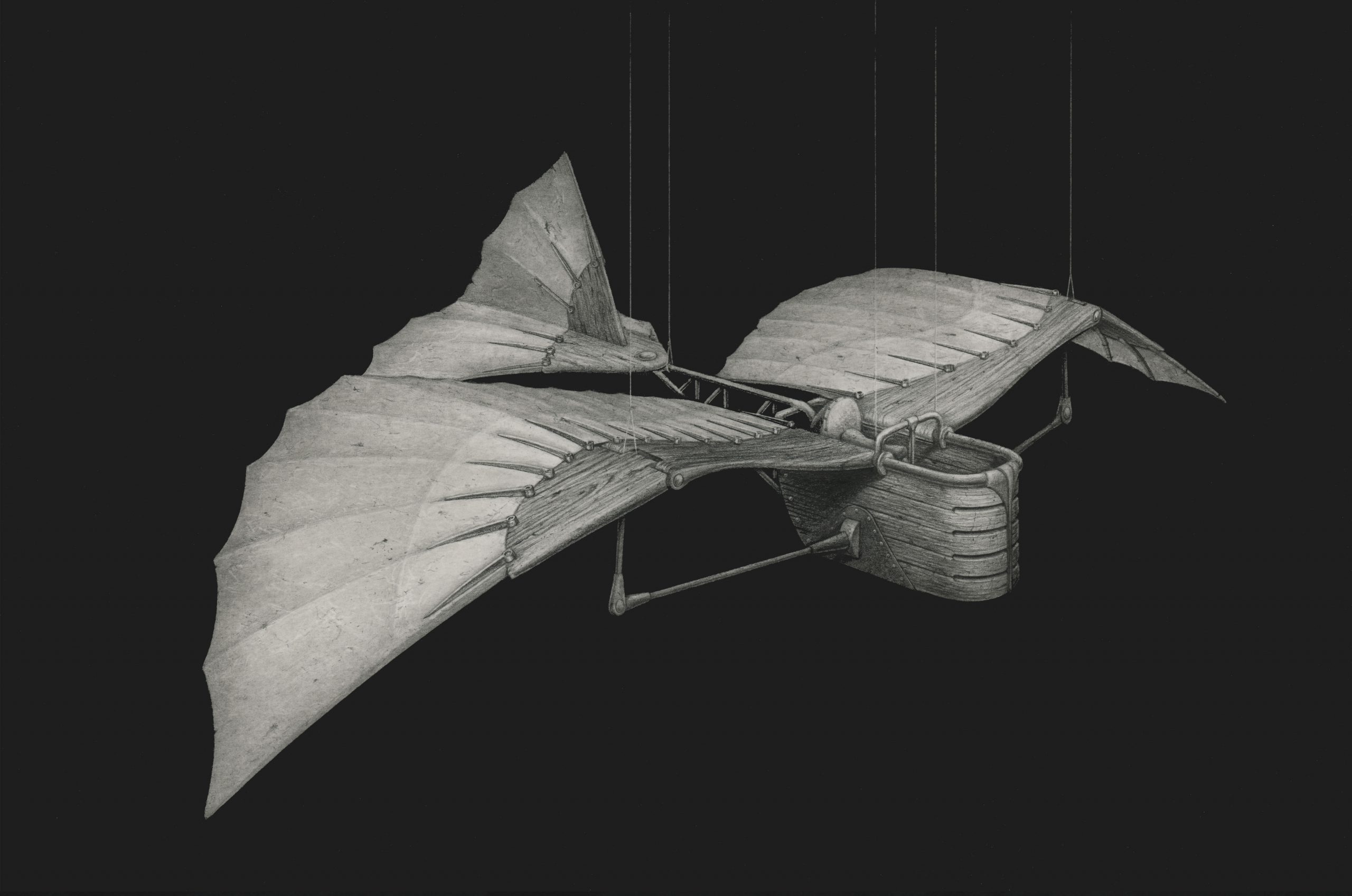 Prosthetic wing 2019〜 – Ameku Takahiro Works