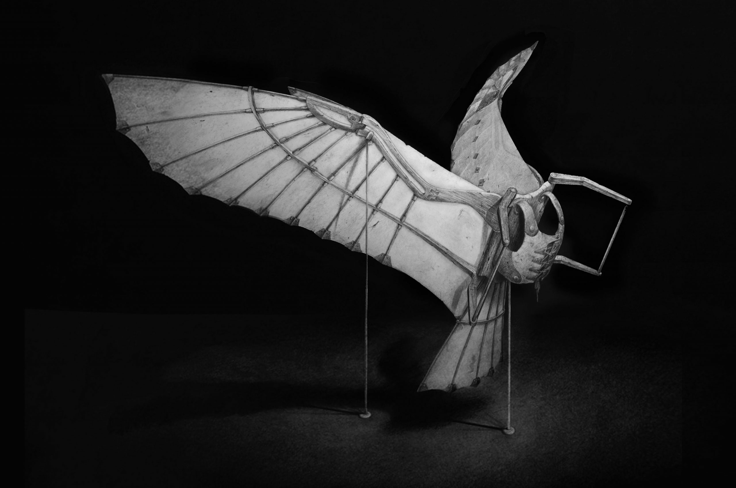 Prosthetic wing 2019〜 – Ameku Takahiro Works