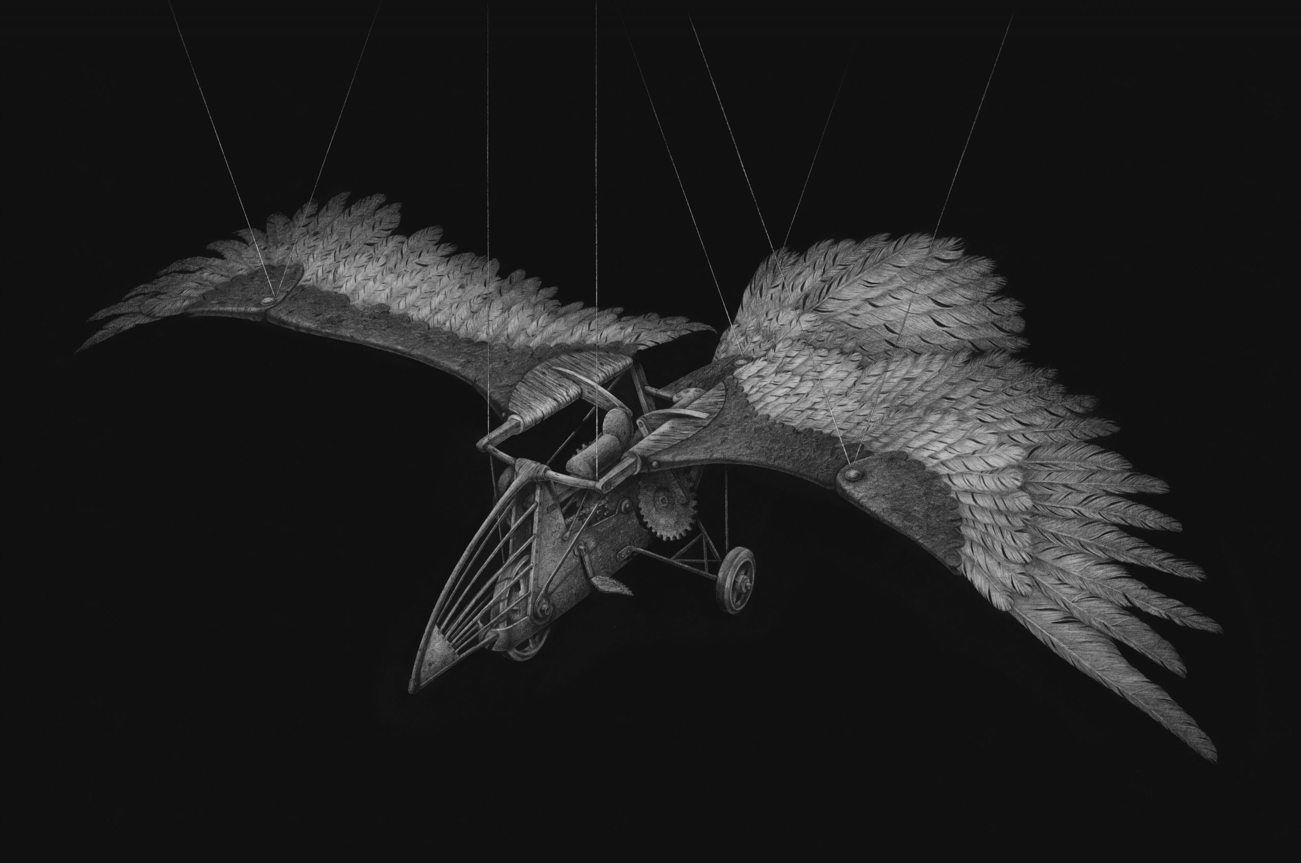 Prosthetic wing 2019〜 – Ameku Takahiro Works